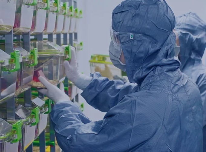 How Do Rodent Pharmacokinetic Studies Inform Drug Development? - Moviesming